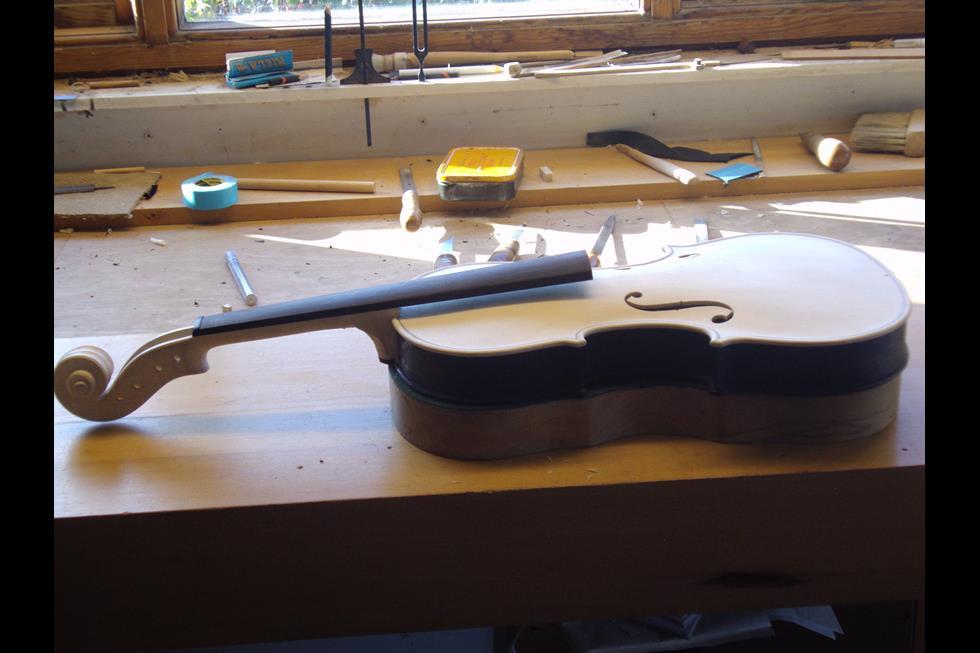 The world’s first and only Bog Oak violin (as far as we know) | Blogs | The Strad